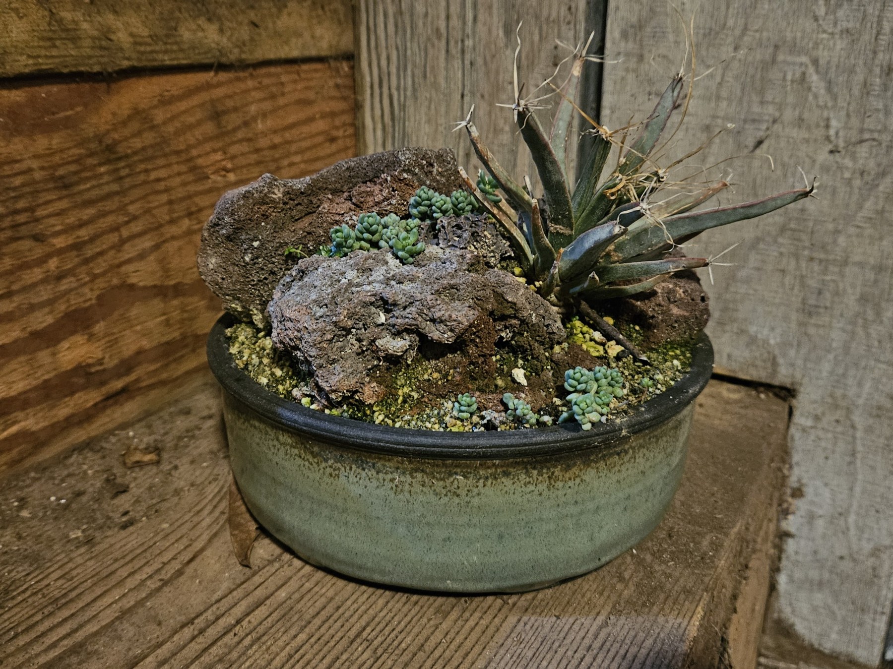 Gallery – jillvanzanten